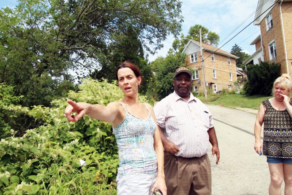 Scenery Hill environmental activist ‘busy as ever’ - Herald-Standard